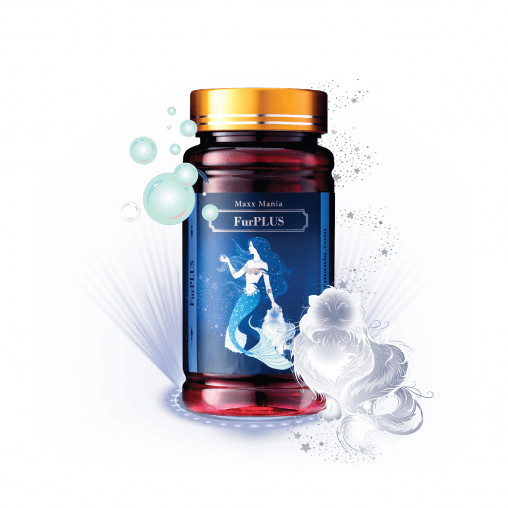 3 in 1 Supplement Set – Maxx Mania